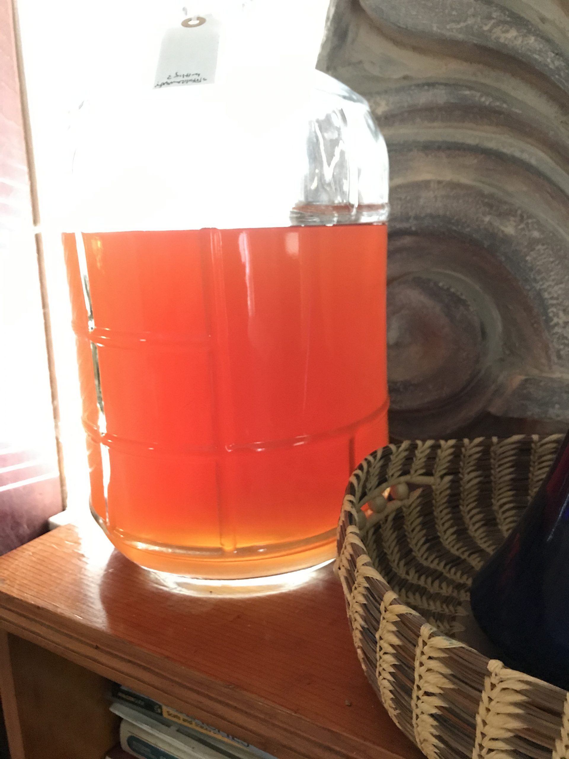Newsletter #406, May 19, 2020 - Eat The Weeds and other things, too
